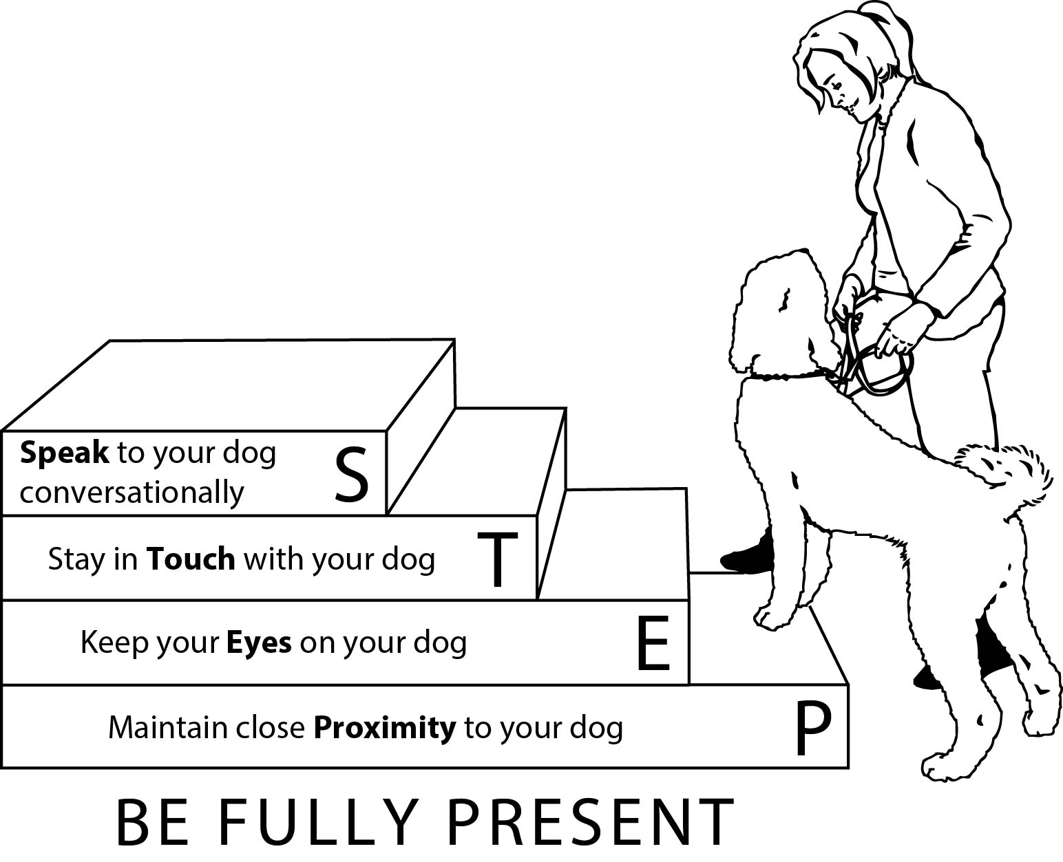 Therapy Dogs